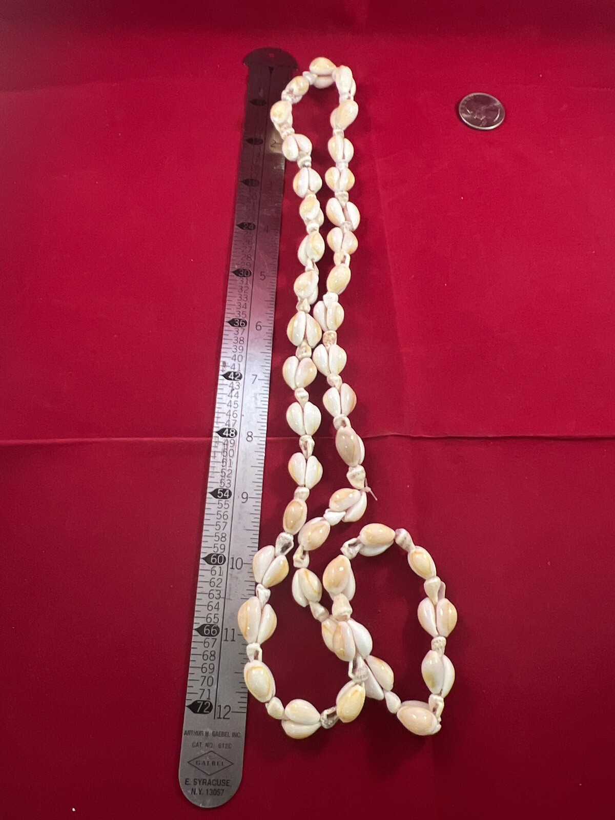 Vintage Medium Cowrie Shell Necklaces Natural Shell H… Gem