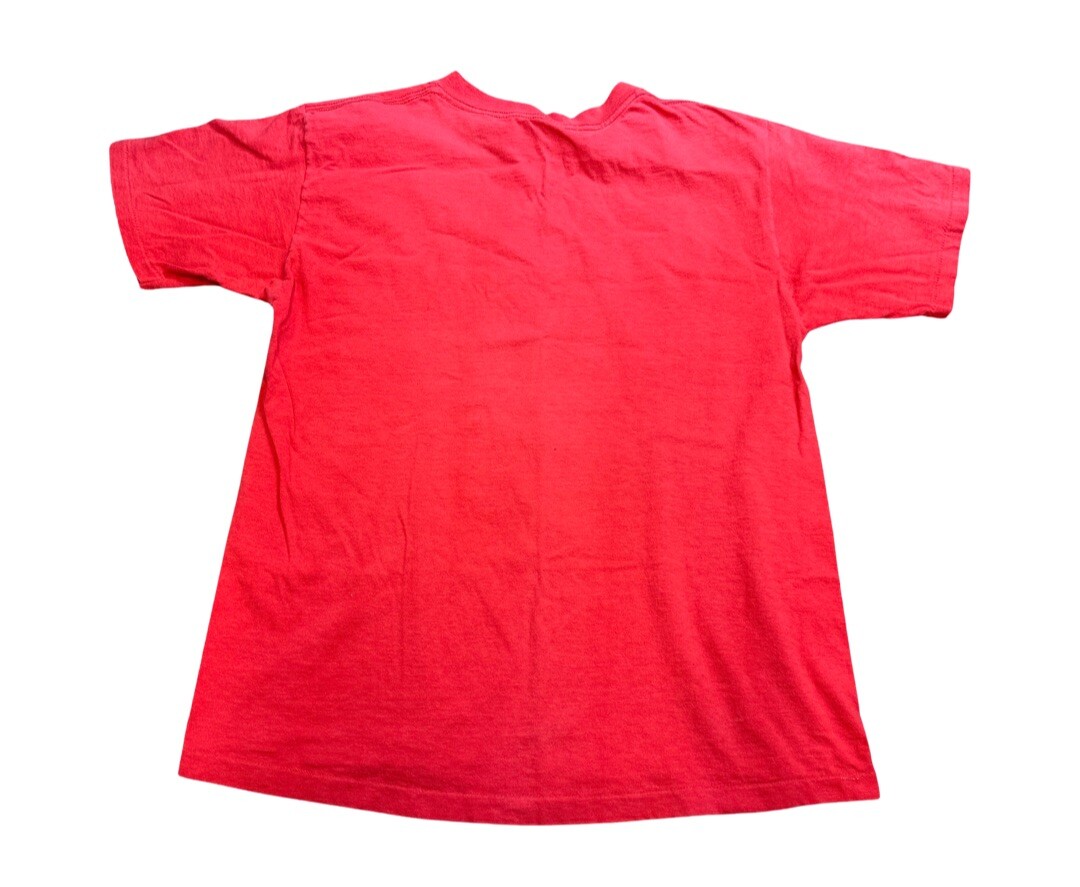 Vintage Arizona Native American Cow Skull Southwester… - Gem