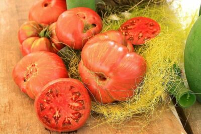Dolo Striped Tomato - 5+ Seeds - Graines - Semillas - Samen - P 392 ...
