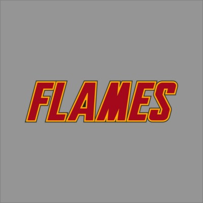 Calgary Flames #3 NHL Team Pro Sports Vinyl Sticker Decal Car Window ...