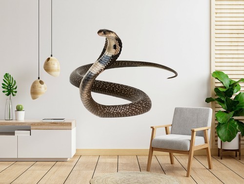 3D Black Python 667NA Animal Wallpaper Mural Poster Wall Stickers Decal ...