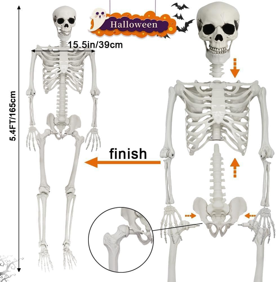 5.4FT Full Size Skeleton, Life Size Poseable Skeleton for Halloween ...