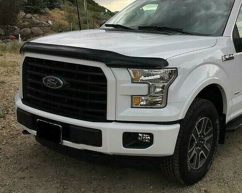 FULL PROFILE Bug Shield (2015- 2019 F150) Hood Protector Smoke ...