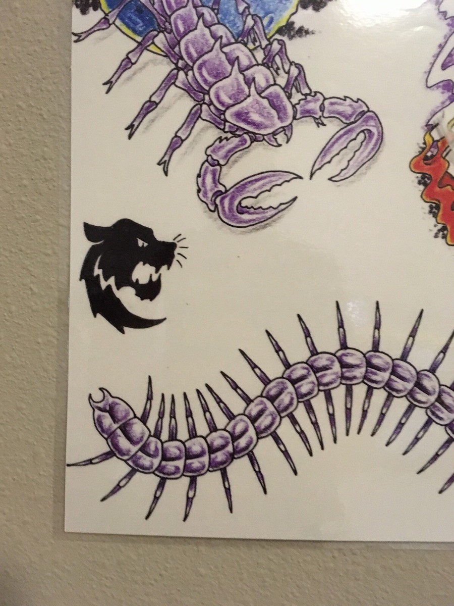 Skull Scorpion Flash