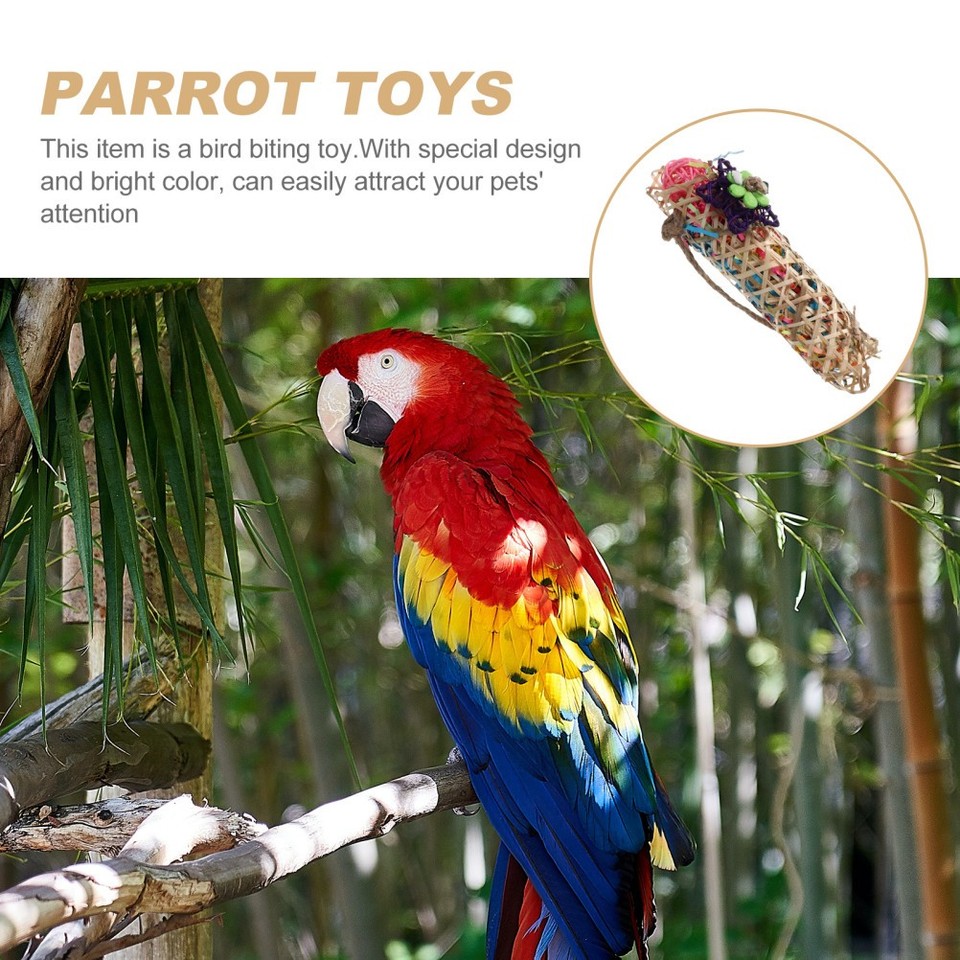 Colorful Parrot Chew Toy Creative Birds Perch Hanging Chewing Swing ...