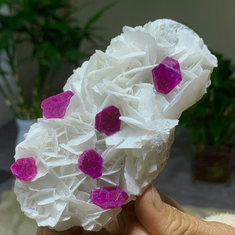 321G Rare Special White Rose Calcite +Flaky Ruby RawCrystal Mineral ...