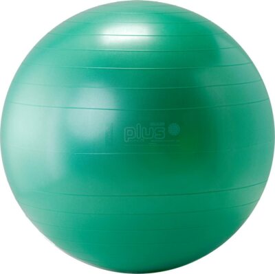 PhysioGymnic Molded Vinyl Inflatable Ball, 26 Inch | eBay