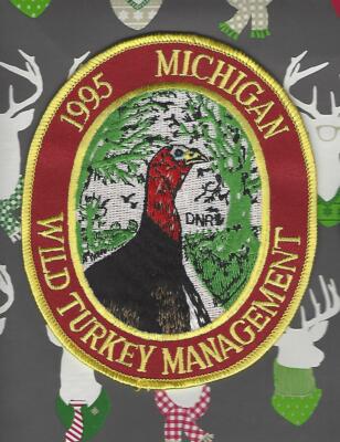 '95 ORIGINAL MICHIGAN DNR SUCCESSFUL TURKEY HUNTING PATCH | eBay