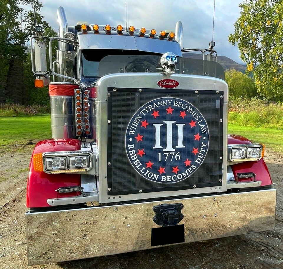 Peterbilt 567 Premium Custom Bug Screen BS-567-Custom | eBay
