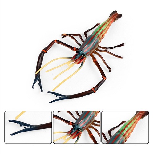 Giant River Prawn Marine Animal Model Shrimp Collector Decor Figure Kid ...