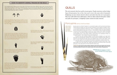 Cabinet of Curiosities : Collecting and Understanding the Wonders of ...