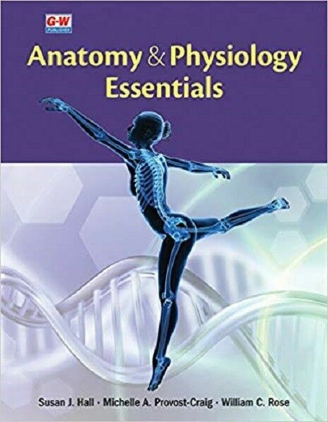 Human Anatomy And Physiology Erin C Amerman 2nd Edition Pdf