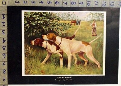 1938 SPORT HUNT POINTER BIRD DOG GAME HORSE ROBERT BORTON ART PAINT ...