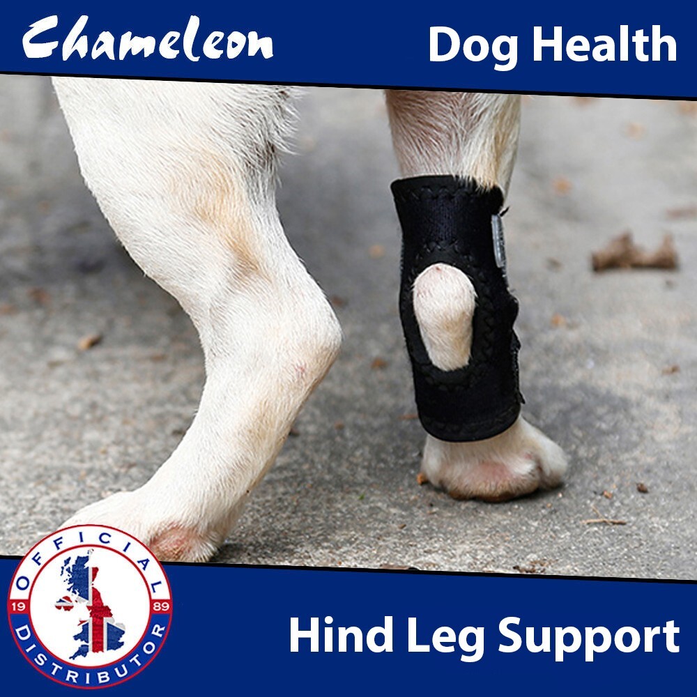 Dog Leg Support Strap Black Pet Leg Brace Hind Leg Strap Support | eBay UK