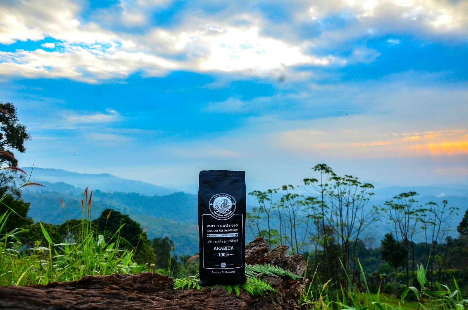 Roasted Coffee Beans AMA COFFEE PANGKHON 100% Arabica from Chiangrai ...