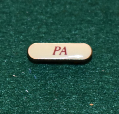 VINTAGE GIRL SCOUT - PROGRM AIDE PIN 1995 | eBay