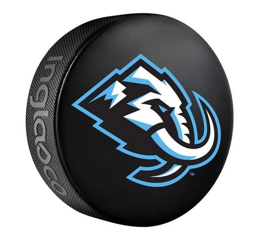 HOCKEY PUCKS ALL 32 NHL TEAMS Complete Set Basic Classic Logo Puck UTAH ...