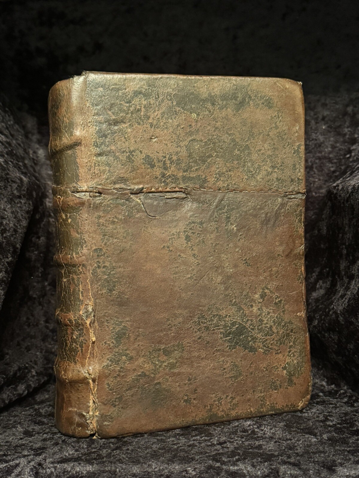 1560 First Edition GENEVA BIBLE Scottish Covenanter PLAYFAIR Manuscript ...