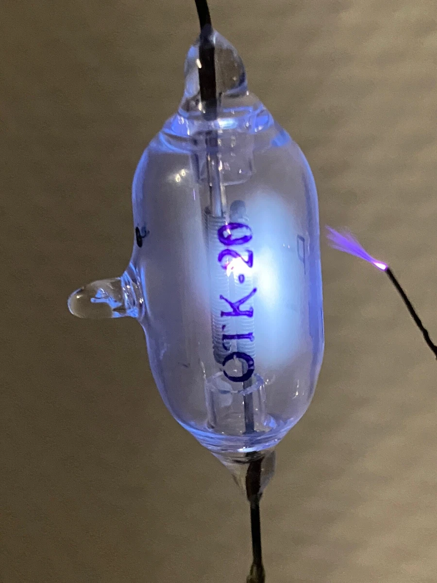 Argon Gas Light Bulb