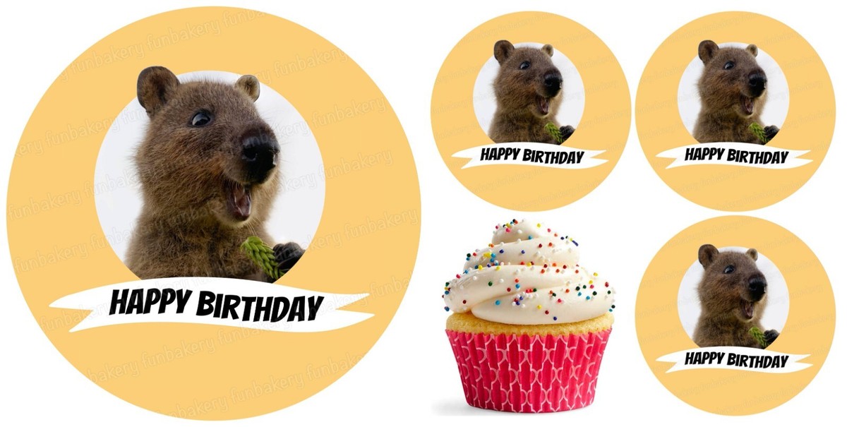 Quokka Birthday Memes Wholesale Funny Birthday Greeting Cards For Her,
