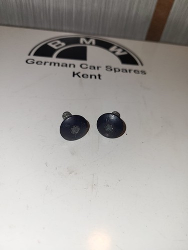 BMW E46 FRONT WING TORX BOLTS (BLUE) X2 | eBay UK