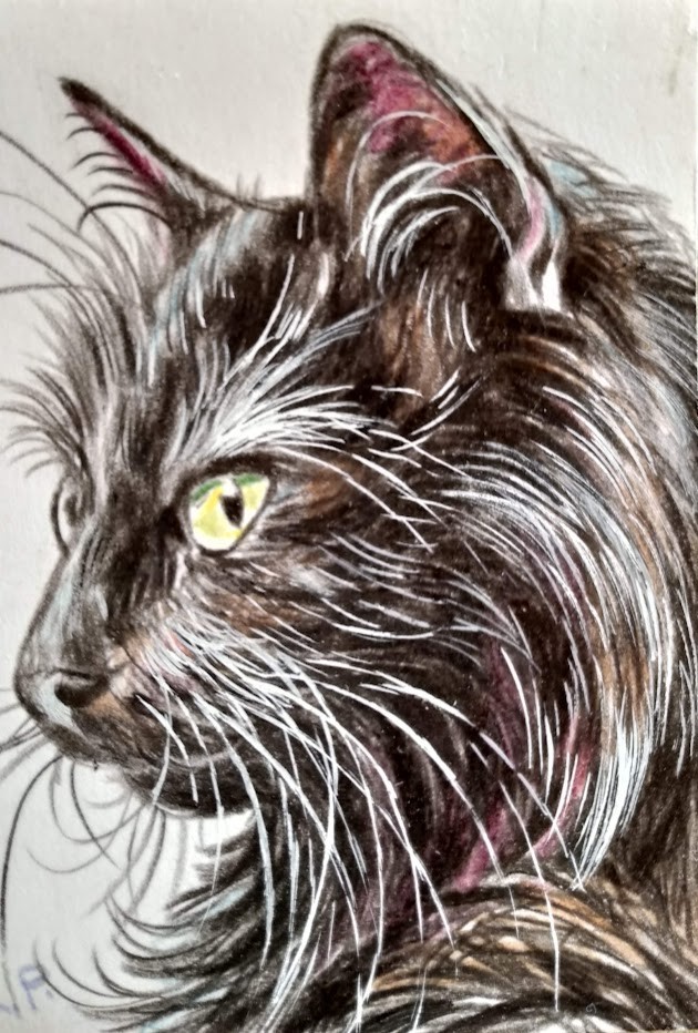 ACEO cat watercolor pencil by the author original 3,5"х2,5" 9x6cm not ...