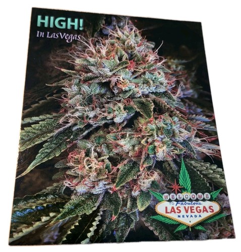 High in Las Vegas Nevada Weed Cannabis Marihuana Pflanze Postkarte 2019 ...