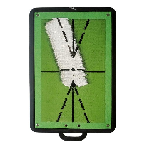 Birdie Mat Pro Premium Swing Training Mat for Analyzing Swing Path and ...