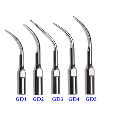Scaler Tips GD1/GD2/GD3/GD4/GD5 Fit DTE STAELEC Scaler Handpiece | eBay