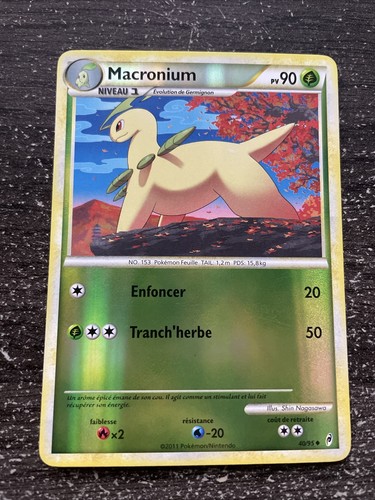 MACRONIUM REVERSE - POKÉMON 40/95 APPEL DES LEGENDES NEUF FR | eBay