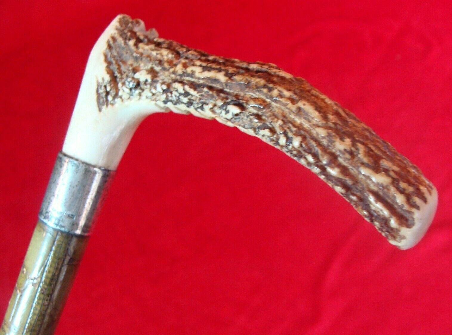 Antique WALKING STICK CANE Bone Carved Handle Sterlin… - Gem