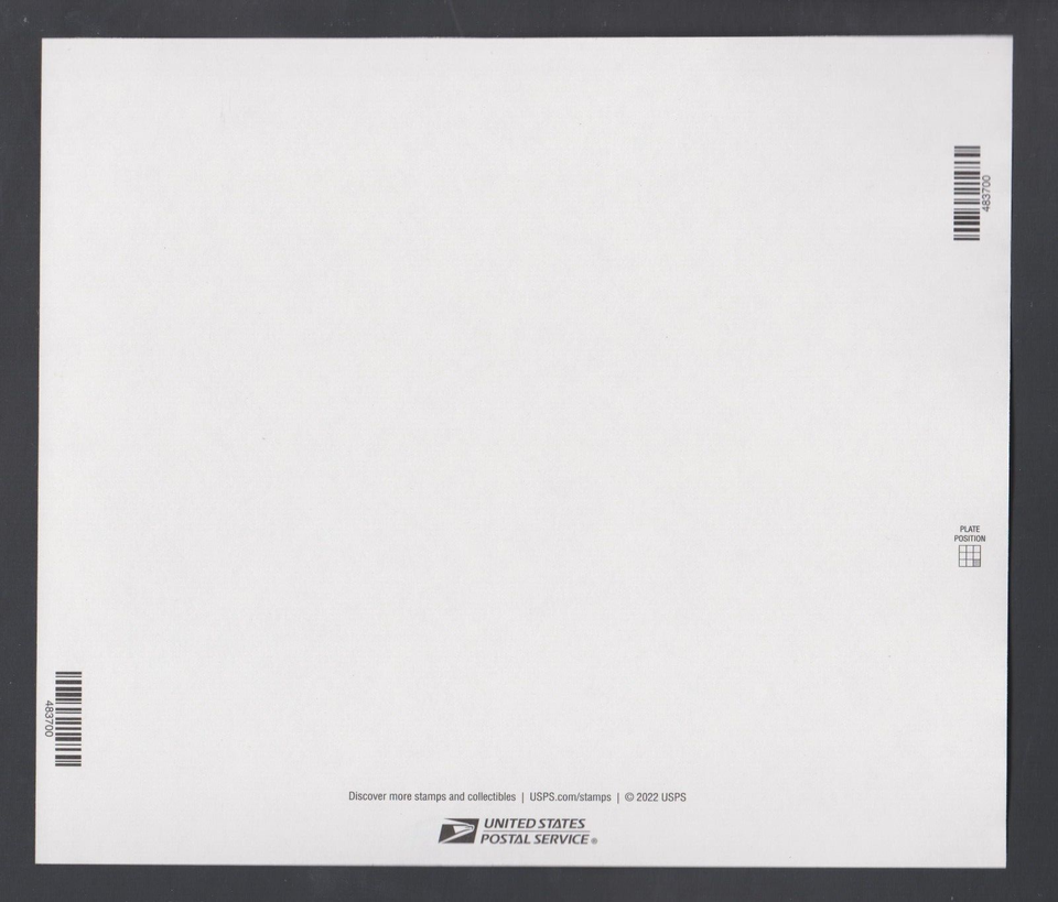 2023 US Imperf Chief Standing Bear Forever Stamps Pane of 20 Scott ...