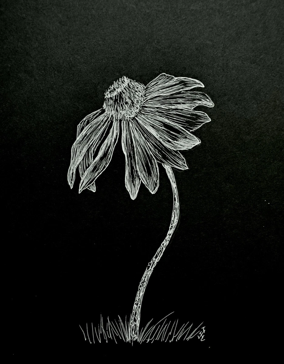 Black And White Flowers Drawing