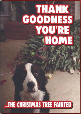 Thank Goodness You're Home The Christmas Tree Fainted, Cheeky Dog ...