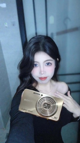 Sony DSC-W570 Cyber-shot Camera 16.1MP 5x Optical Zoom – Perfect for ...