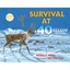 Survival at 40 Below by Debbie S. Miller (2010, Hardcover) for sale ...