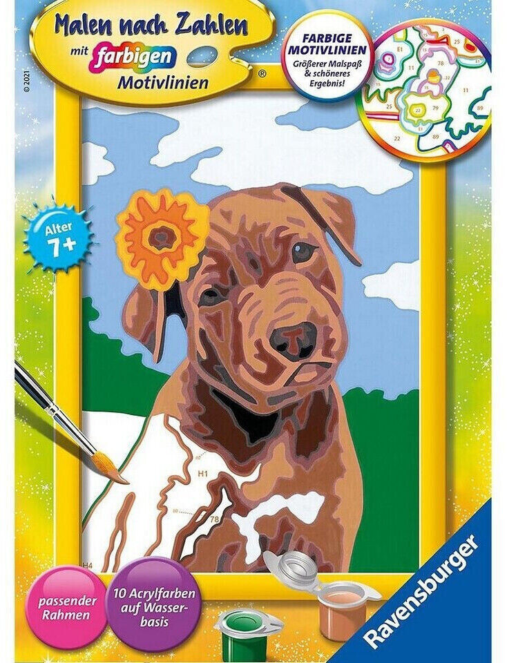 RAVENSBURGER Bester Freund Malen nach Zahlen Kinder Mehrfarbig | eBay.de