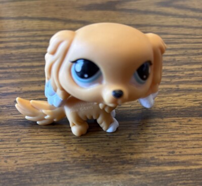 Littlest Pet Shop LPS Spaniel Puppy Dog #1825 Teal Eyes King Charles | eBay