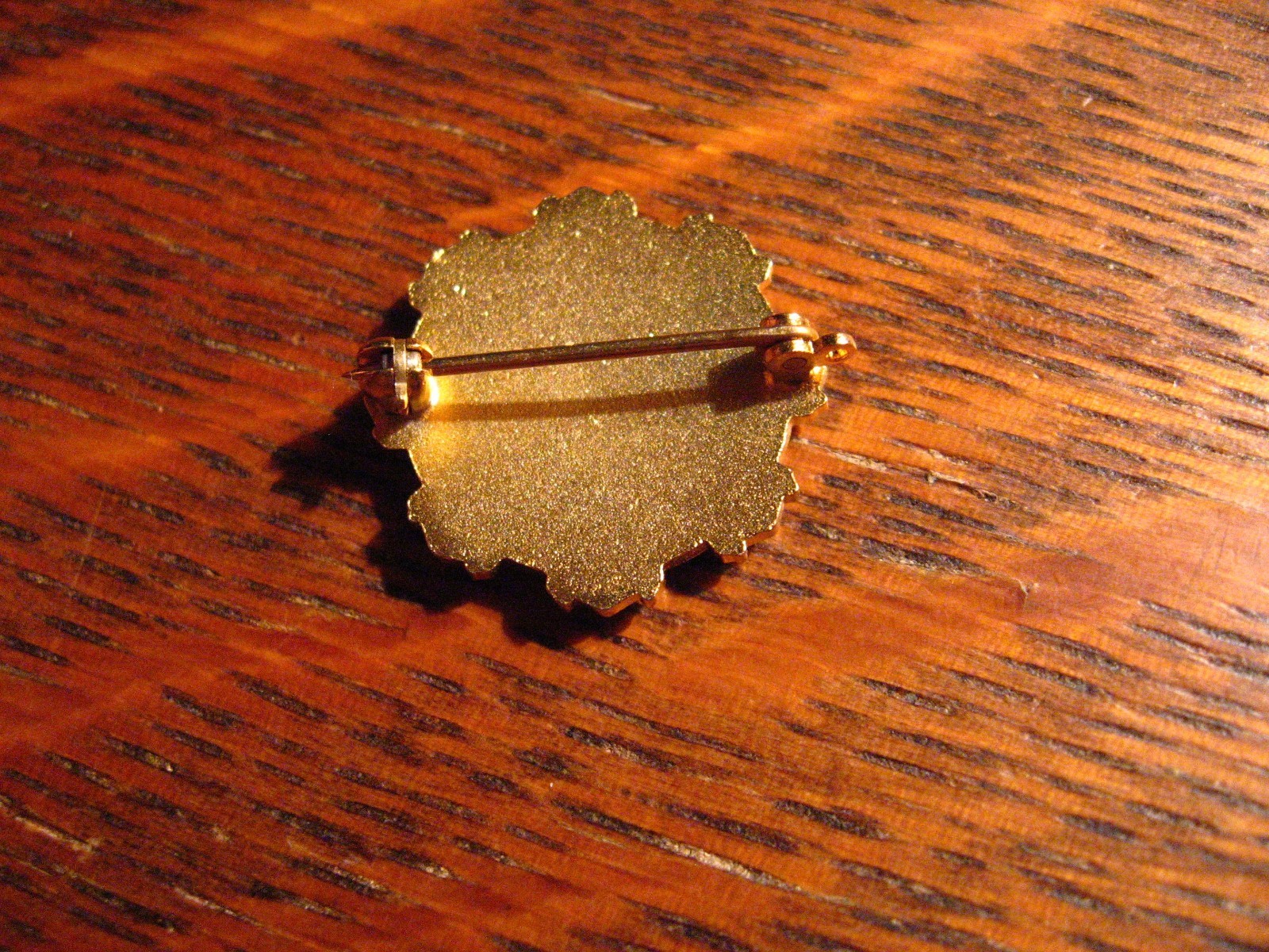 Nisi Dominus Frustra Lapel Pin - Vintage Hospital Auxiliary Past ...