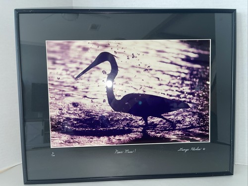 Blue Heron Silhouette Print George Rhodes Framed Photography 9/100 ...