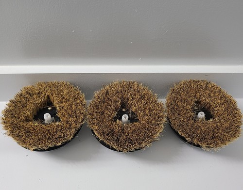 Electrolux EPIC TriStar Vacuum-Shampoo Scrub Natural Bristle Brushes w ...