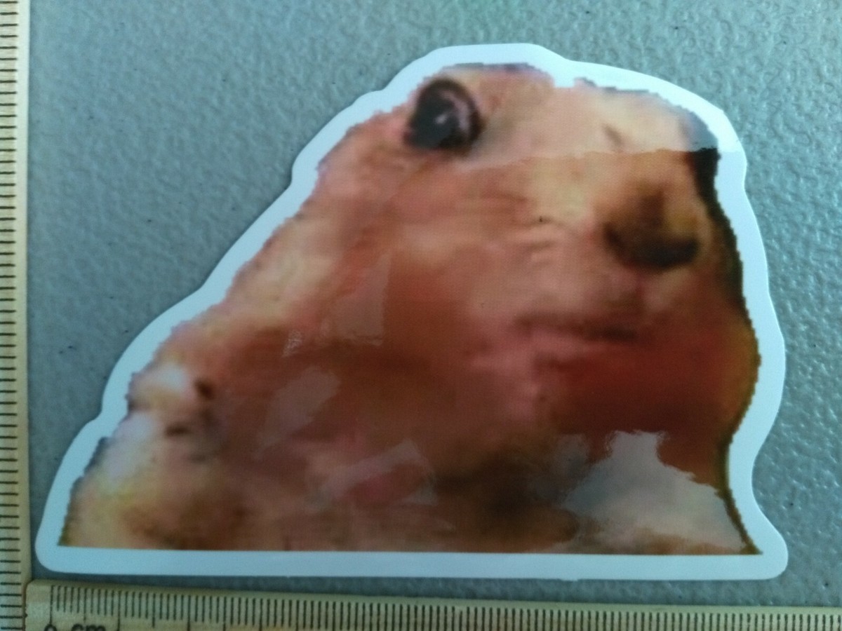 Dramatic Chipmunk Wallpaper