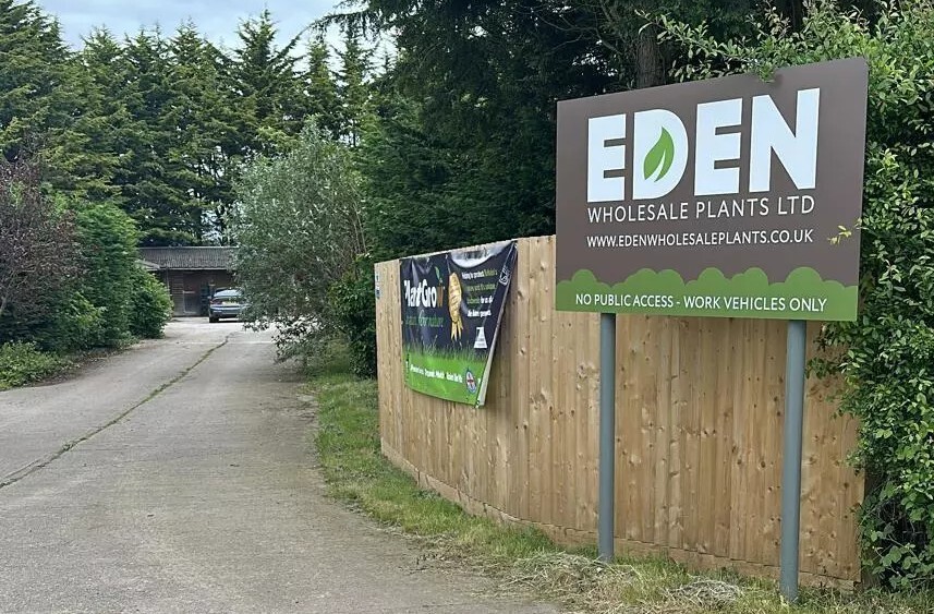 Cherry Laurel Hedging Plants 3ft+/- 90cm+/- 5L from £7 +VAT - Pallet ...