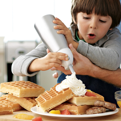 EZYWHIP CREAM DISPENSER 0.5L 100% STAINLESS STEEL WHIPPER BULBS ...