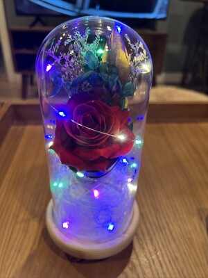 Everlasting Romantic Colorful Rose In A Glass Dome Gifts for Her Light ...