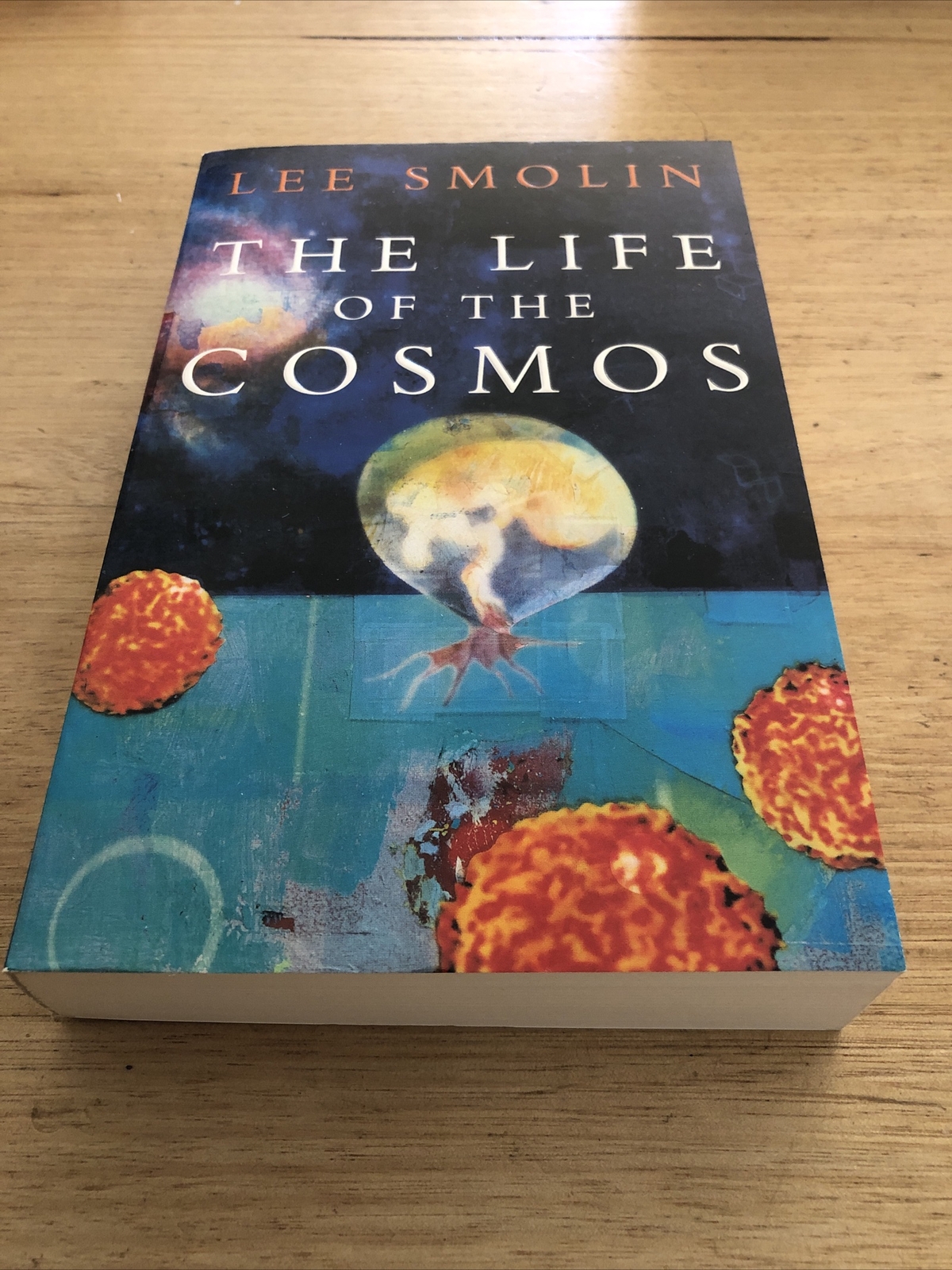 The Life of the Cosmos by Lee Smolin (Paperback, 1998) | eBay Australia