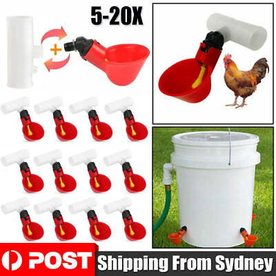 5-20X Automatic Cups Water Feeder Drinker Chicken Waterer Poultry Chook ...