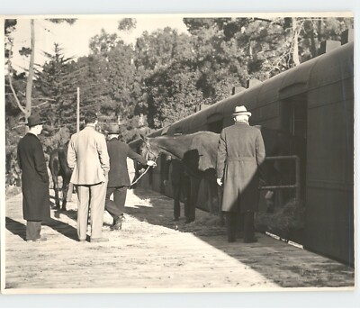 Eric TYRRELL-MARTIN Horses Del Monte Polo Club CALIFORNIA 1938 Press ...