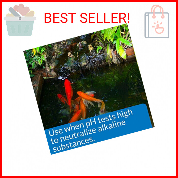 API POND pH DOWN Pond Water pH Reducing Solution 16-Ounce Bottle, White, Model:1 | eBay