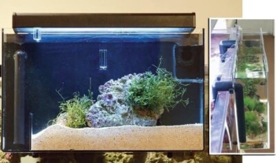 Old Style Large AquaFuge 2 Hang On Refugiums (AF2LGDX) w/ Power Compact ...